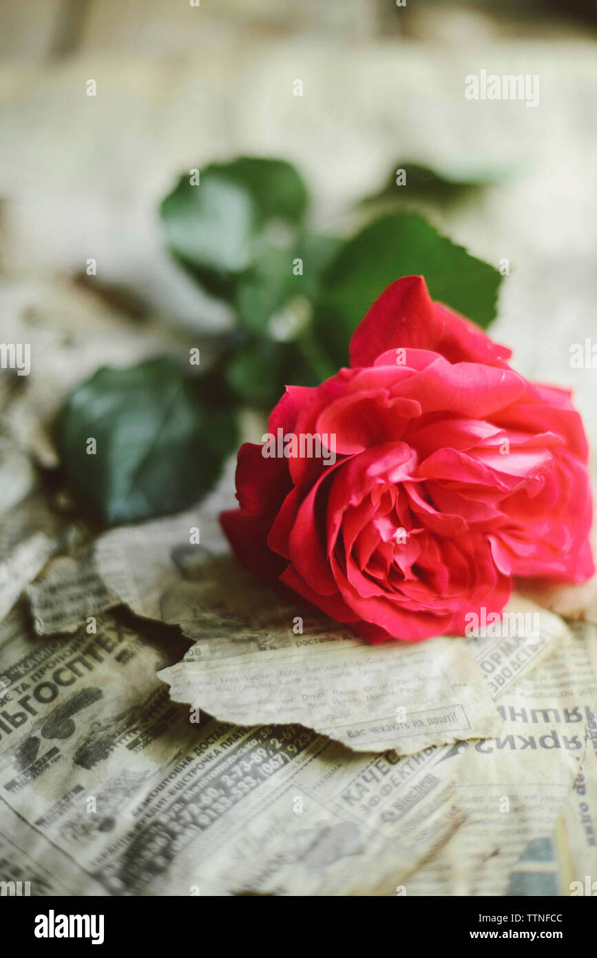 Newspaper leaves hi-res stock photography and images - Alamy