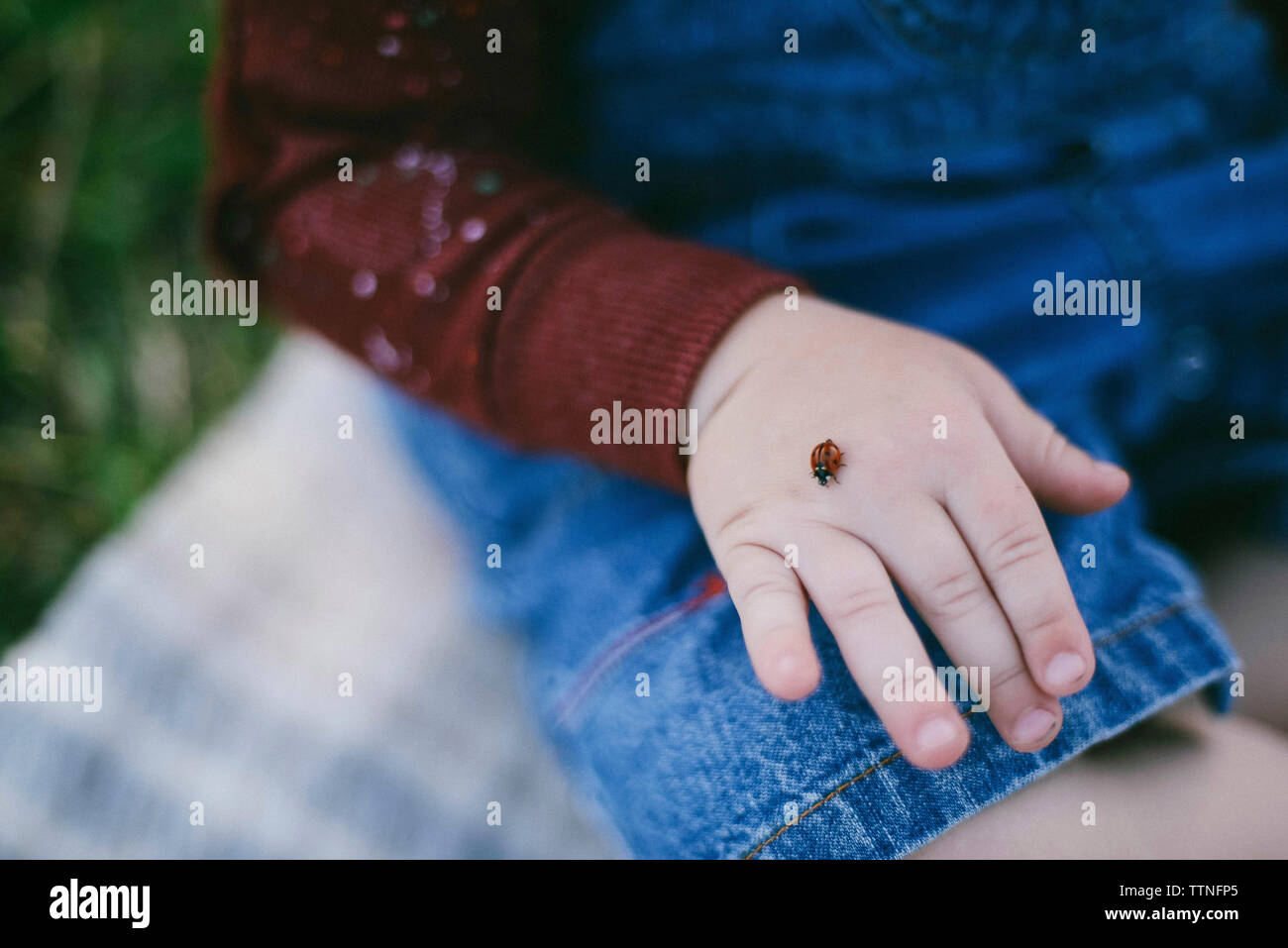 Midsection of boy with ladybug on his hand Stock Photo - Alamy