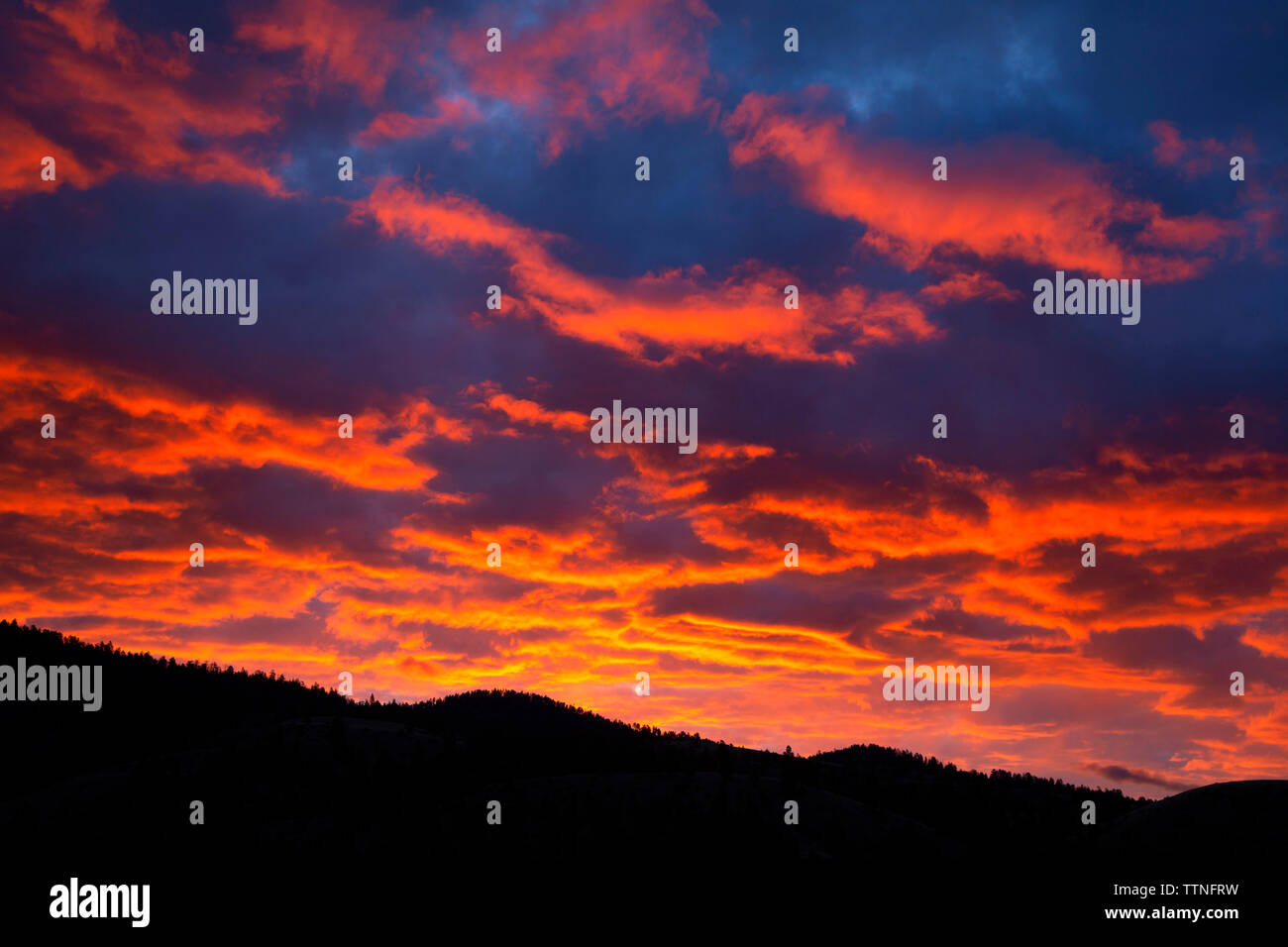 Sunrise, Black Sandy State Park, Montana Stock Photo - Alamy