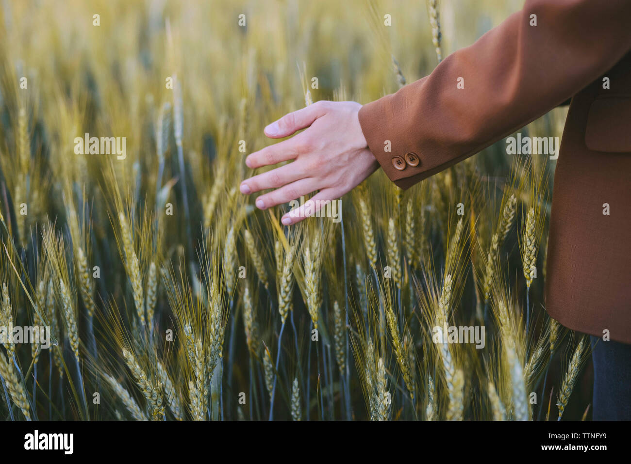 Woman farm hand hi-res stock photography and images - Alamy