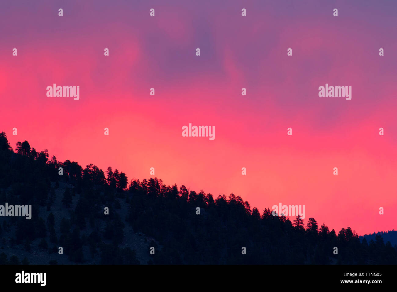 Black sandy hi-res stock photography and images - Alamy