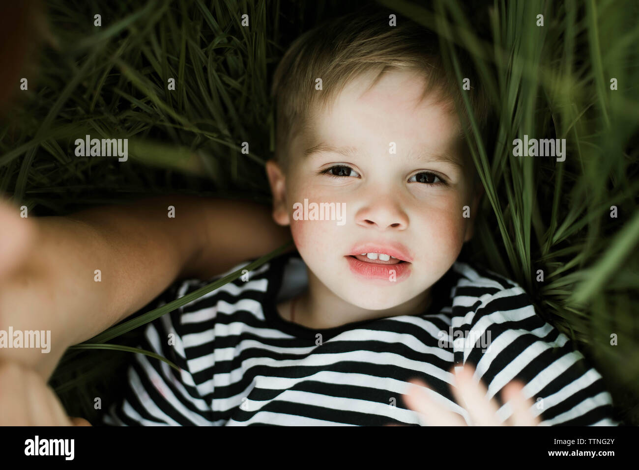 Little boy lying on green grass Stock Photo - Alamy