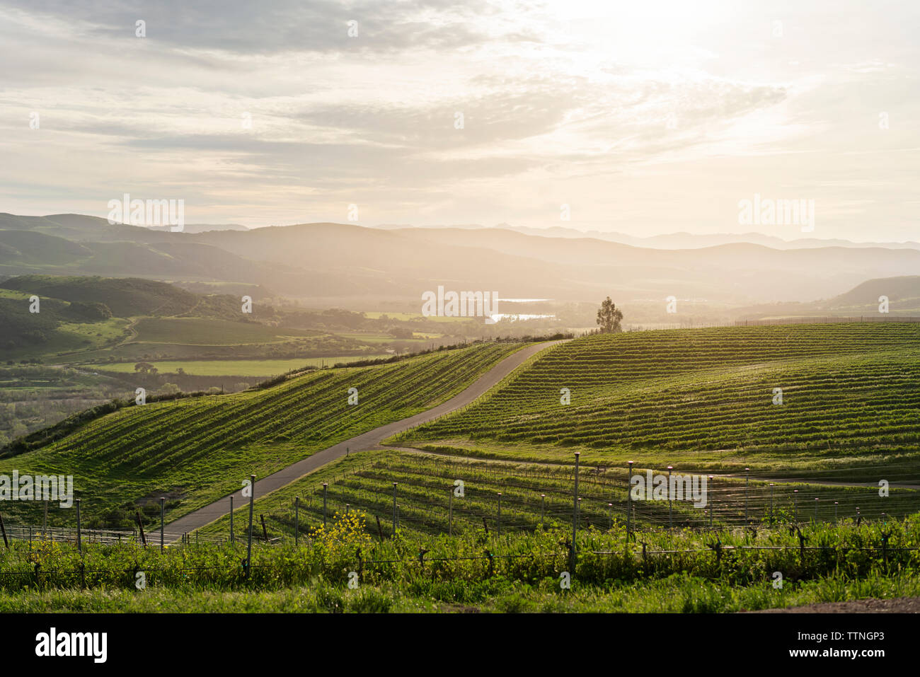 Scenic view farm mountains hi-res stock photography and images - Alamy