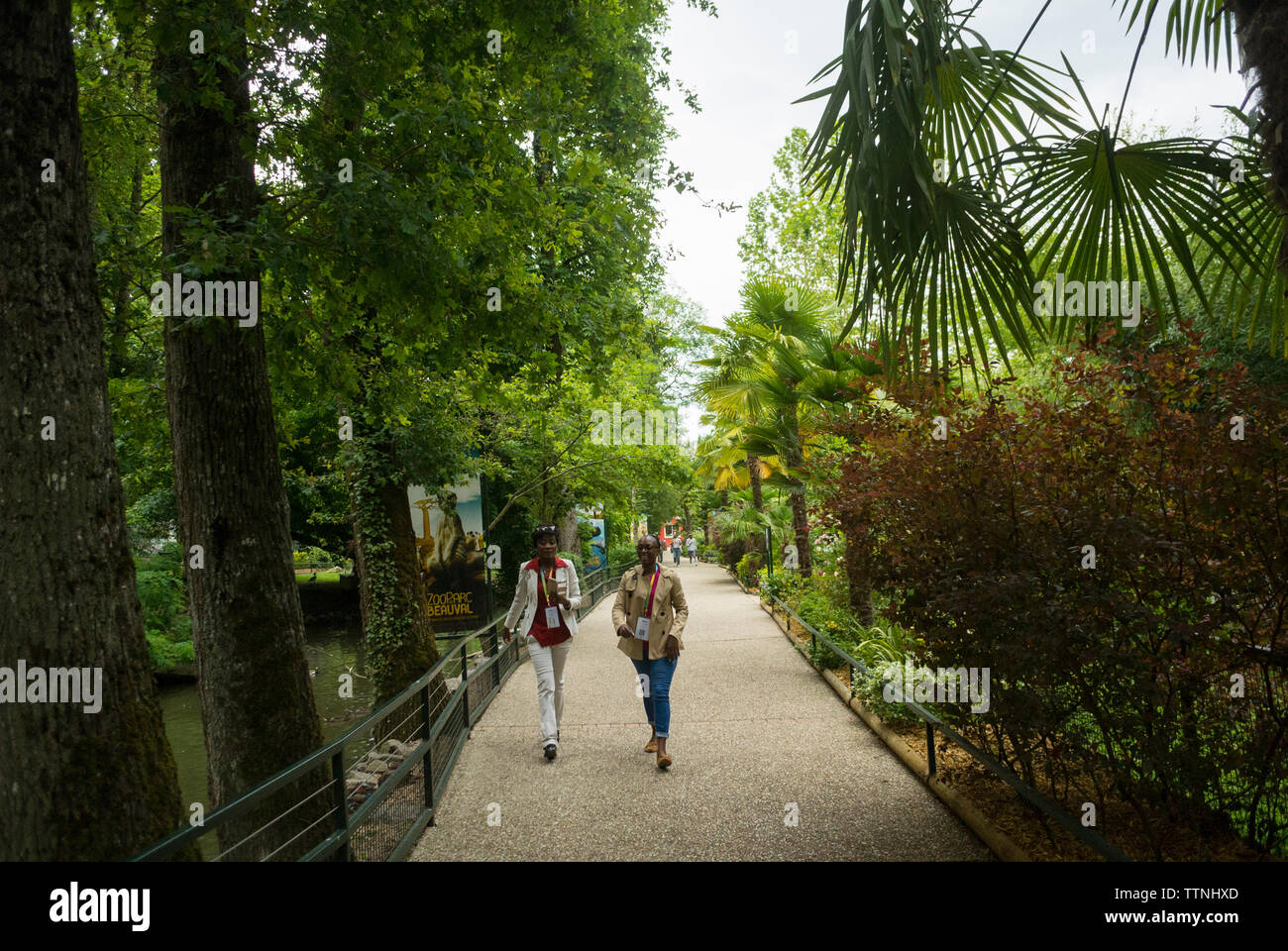 Saint-Aignan, FRANCE, Tourists Visiting inside Tropical Garden in Zoo ...