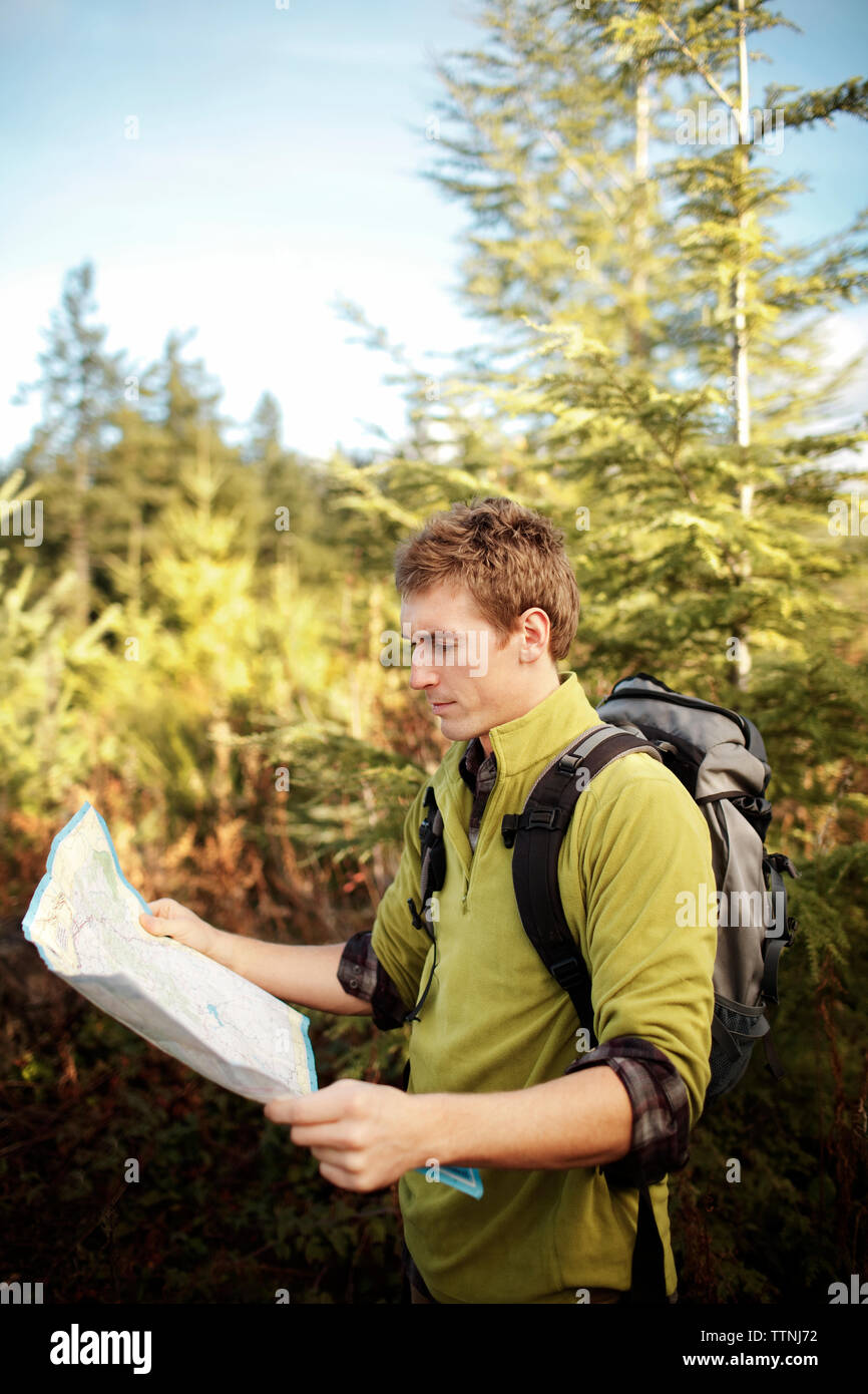 Male hiker reading map while standing in forest Stock Photo - Alamy