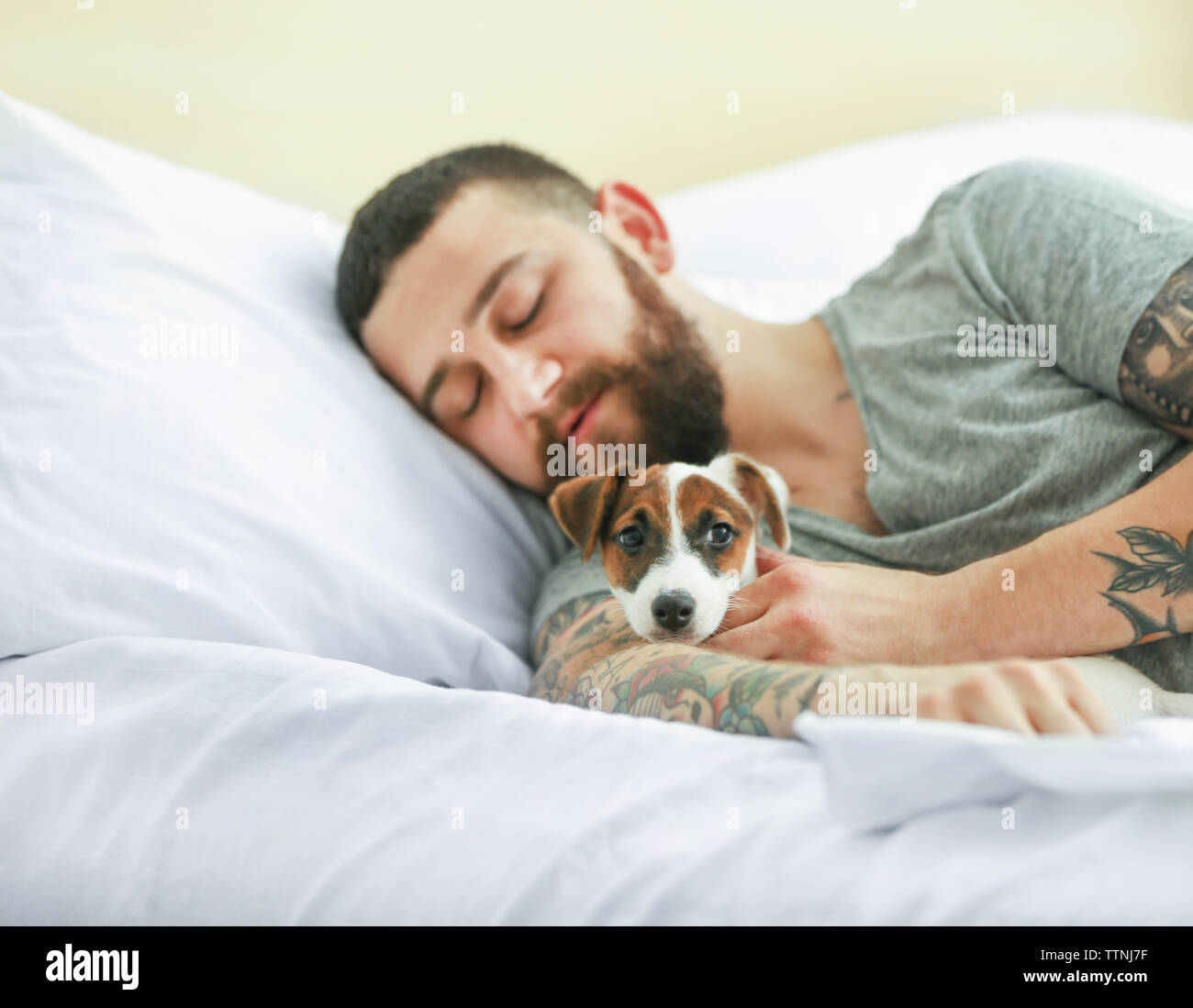 Man sleeping in dog bed hi-res stock photography and images - Alamy