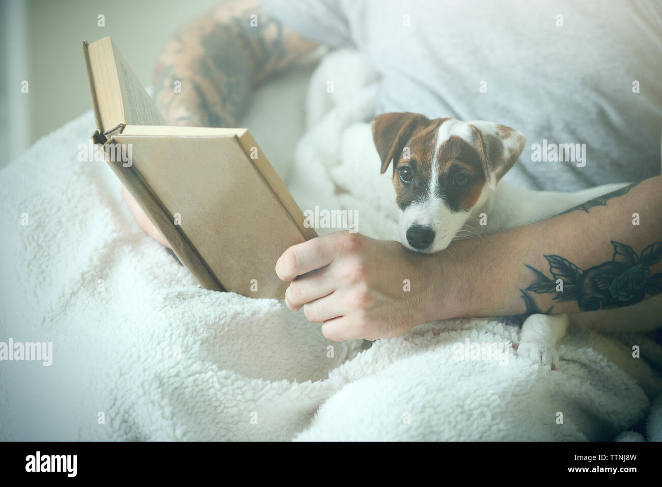 Man with cute dog reading book Stock Photo - Alamy