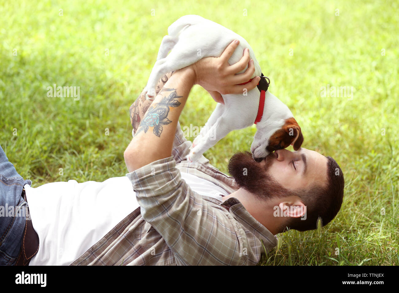 Man with cute dog in spring park Stock Photo - Alamy