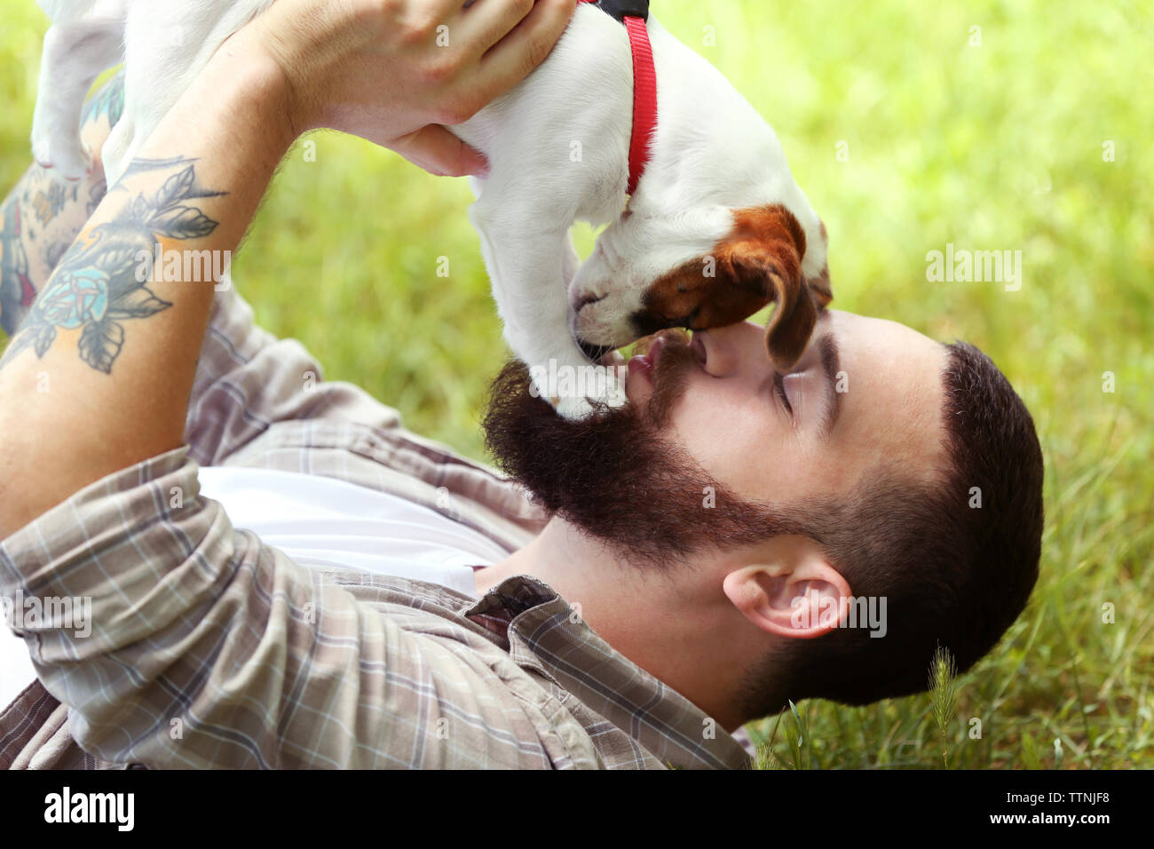 Man with cute dog in spring park Stock Photo - Alamy