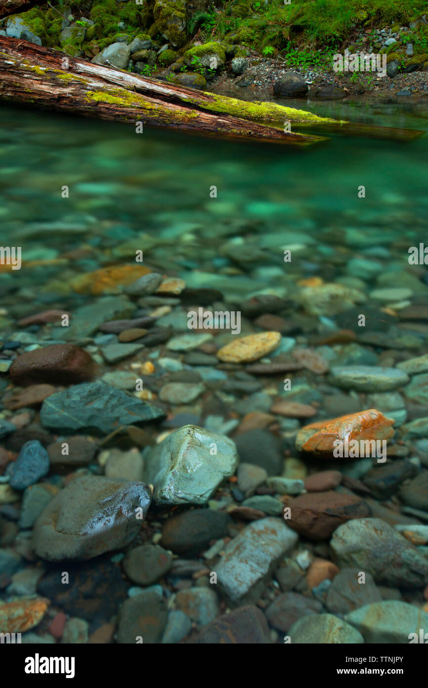 Quartzville Creek Wild and Scenic River, Quartzville Creek National ...