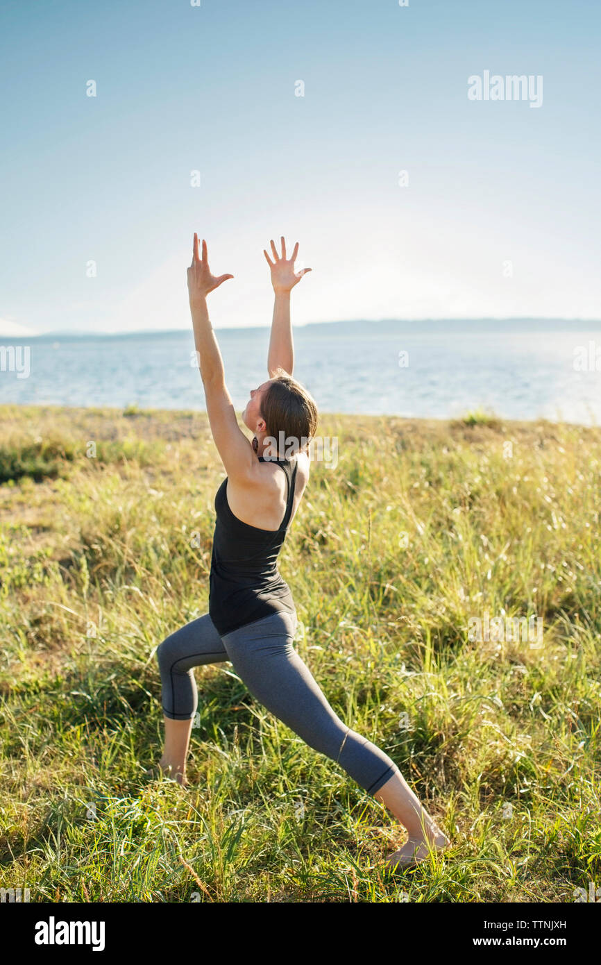 Woman warrior pose hi-res stock photography and images - Alamy