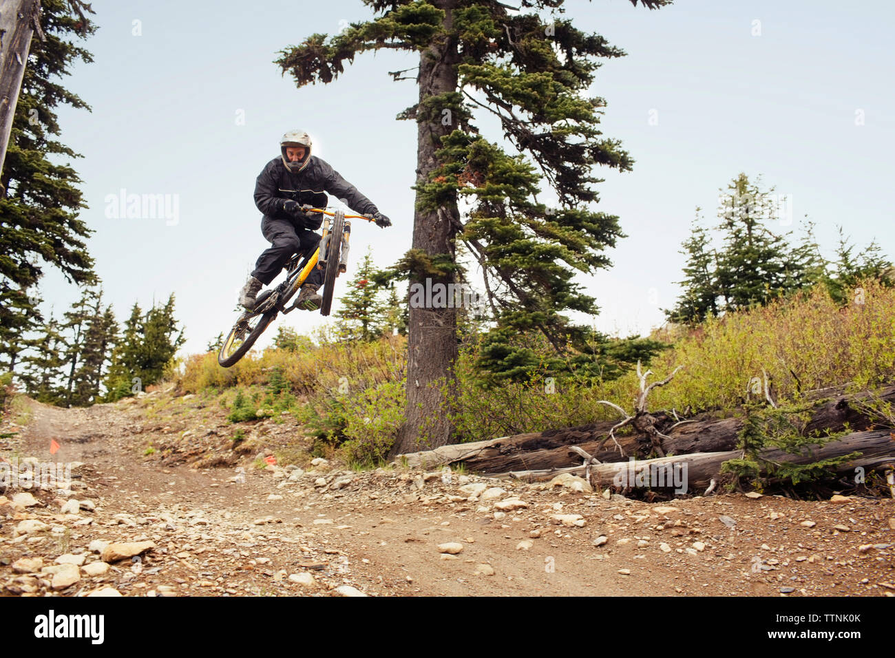 Man mountain bike forest hi-res stock photography and images - Alamy