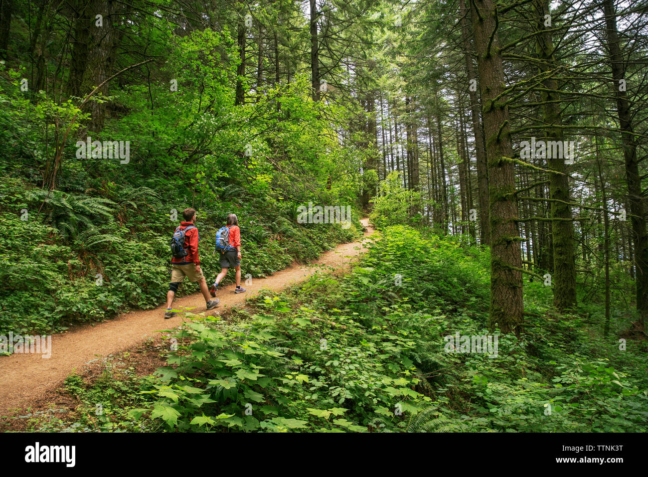 Friends hiking on trail at Crater Lake National Park Stock Photo - Alamy