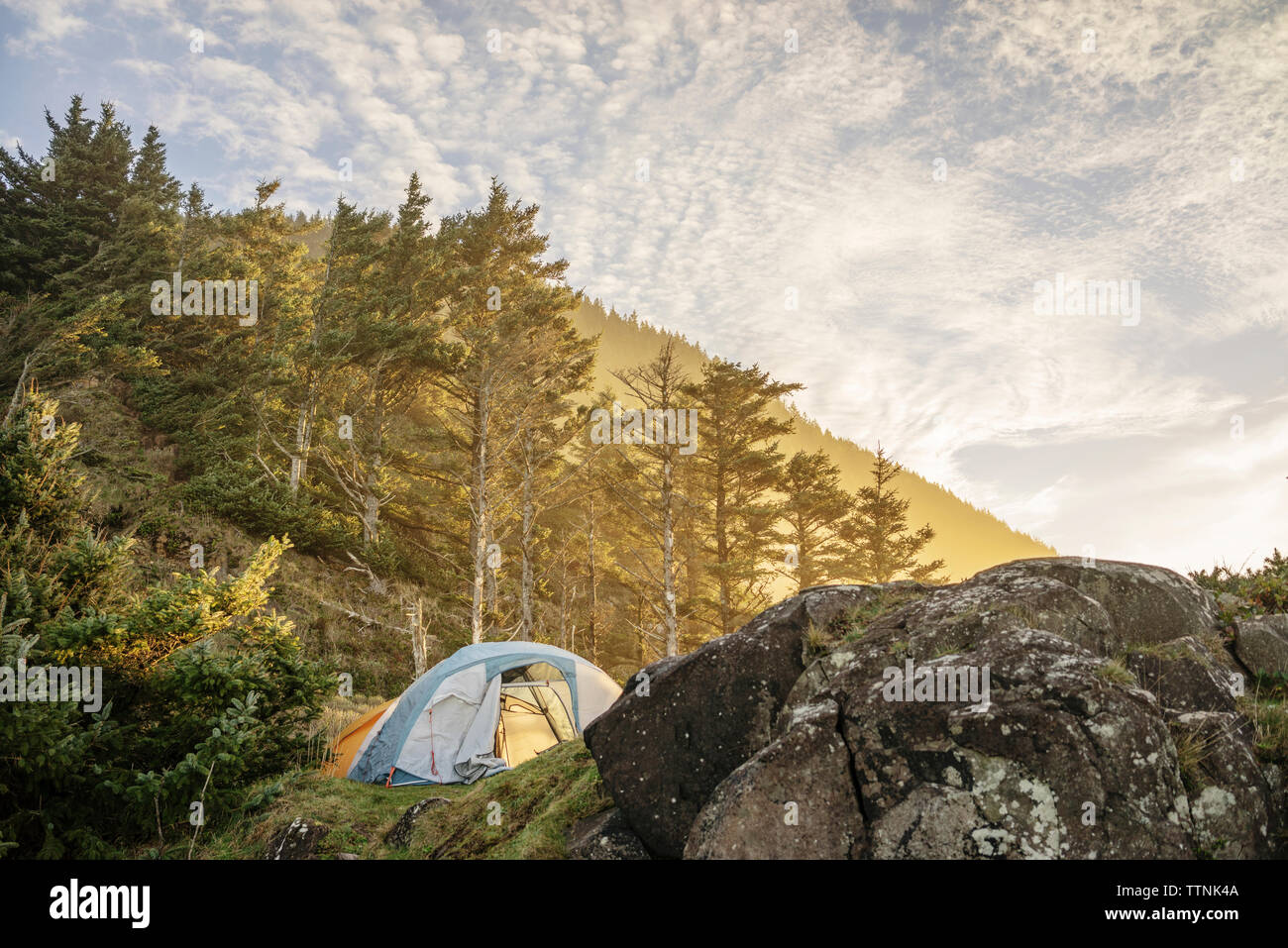 Low angle view tents hi-res stock photography and images - Alamy