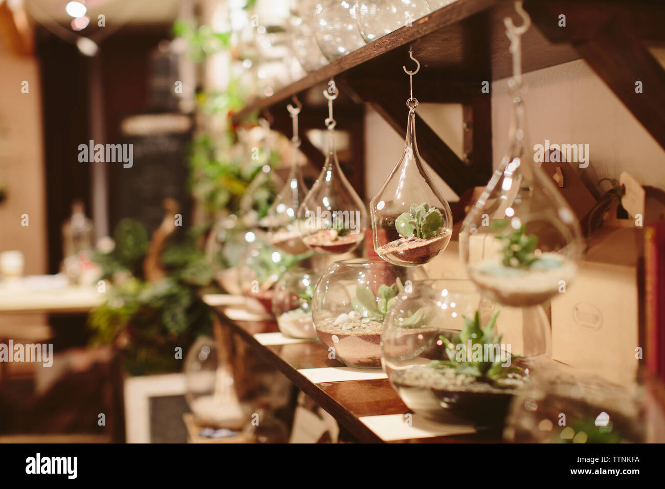 Plants arranged on rack in garden center Stock Photo - Alamy