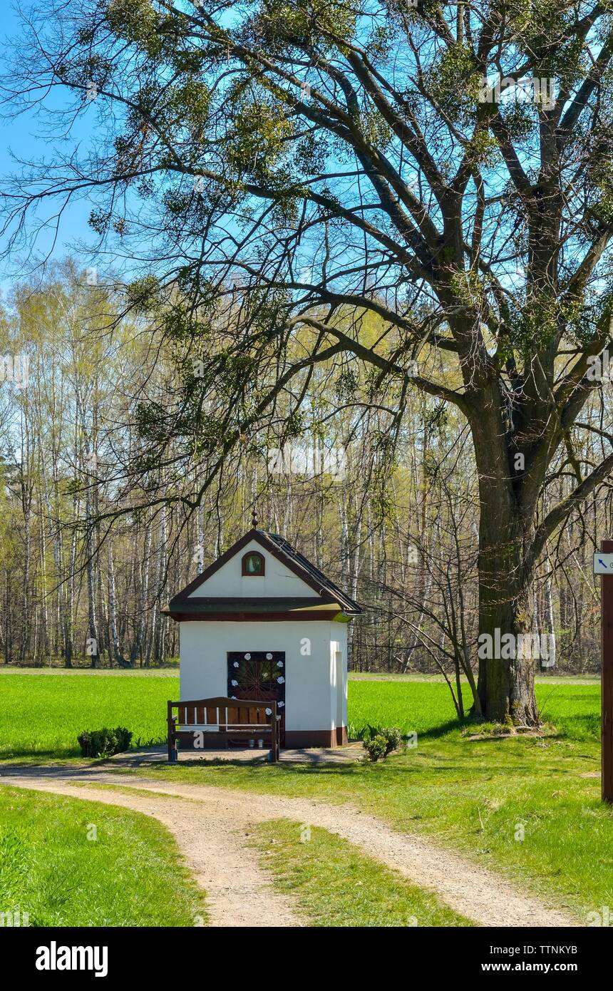 Beautiful spring landscape. Tree and chapel on the glade in the forest ...