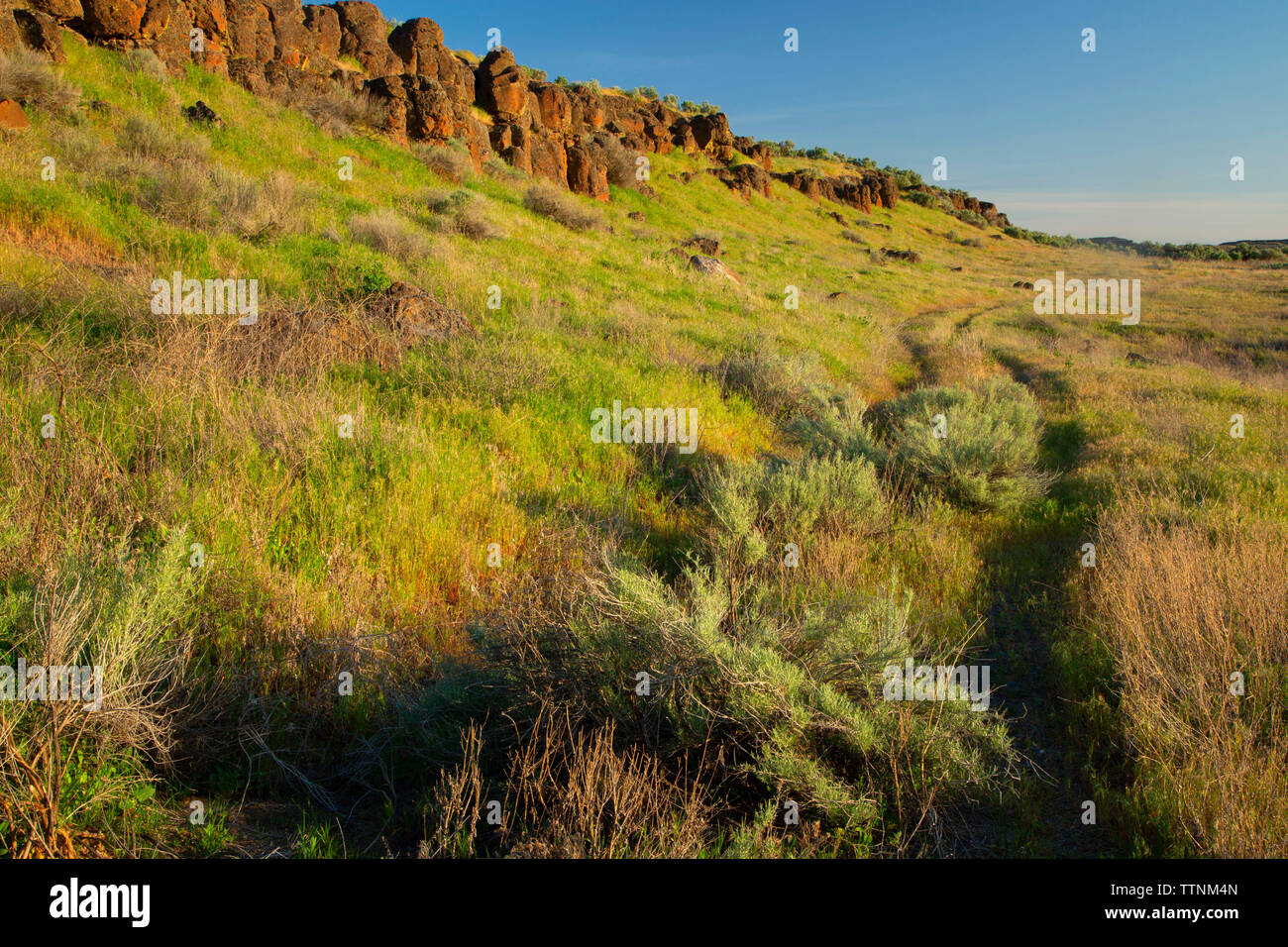 Channeled scablands washington hi-res stock photography and images - Alamy