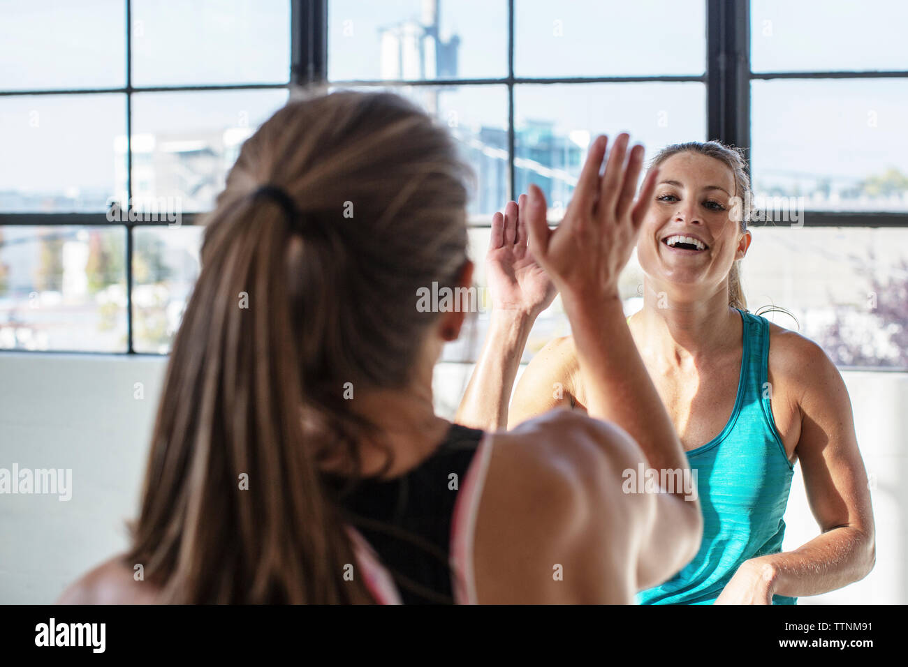 Happy female athletes giving high-five to each other in gym Stock Photo ...
