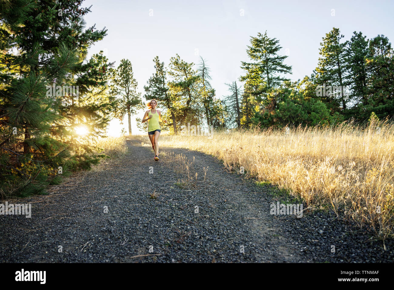 Jogging pathway hi-res stock photography and images - Alamy
