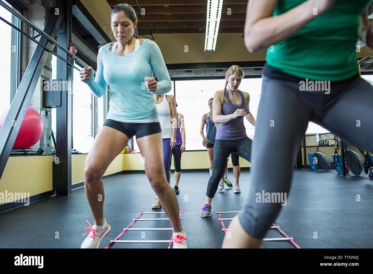 Instructor with women jumping over agility ladder in gym Stock Photo ...