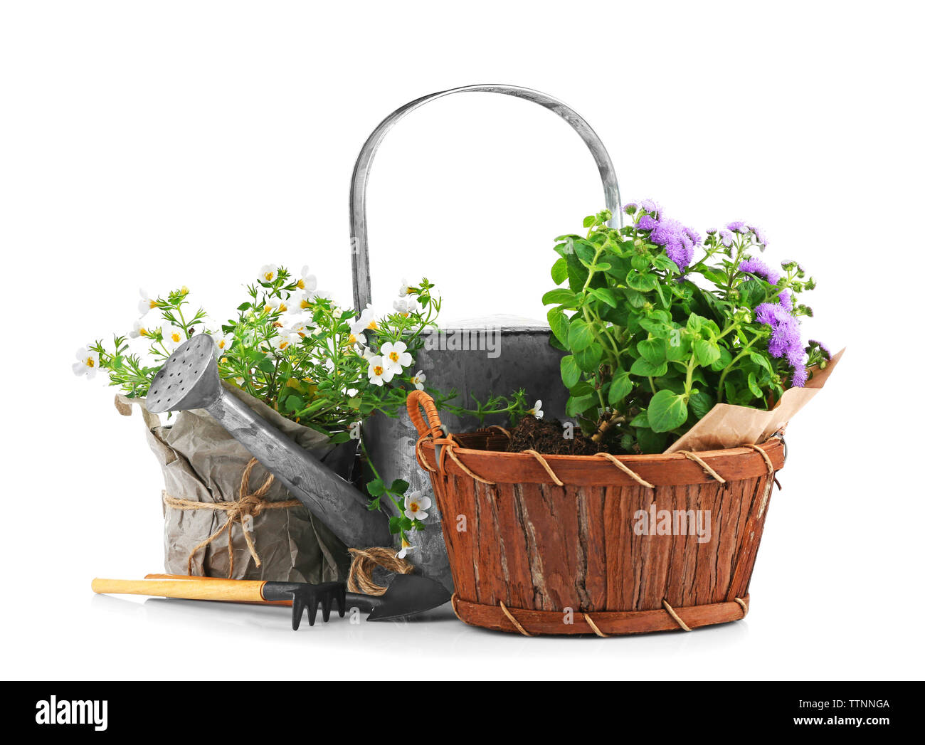Gardening tools and flowers isolated on white Stock Photo - Alamy