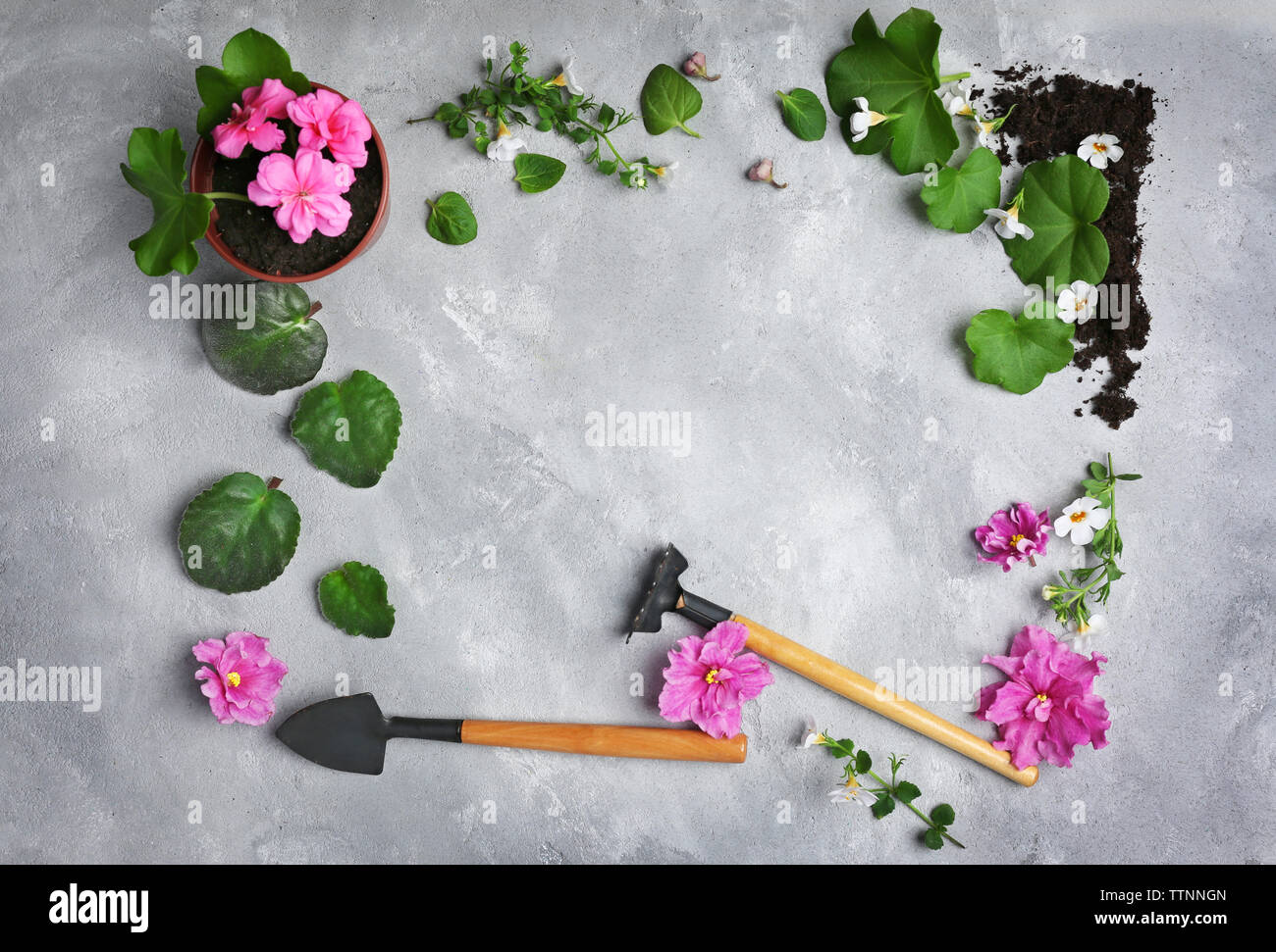 Gardening tools and flowers on grey textured background Stock Photo - Alamy