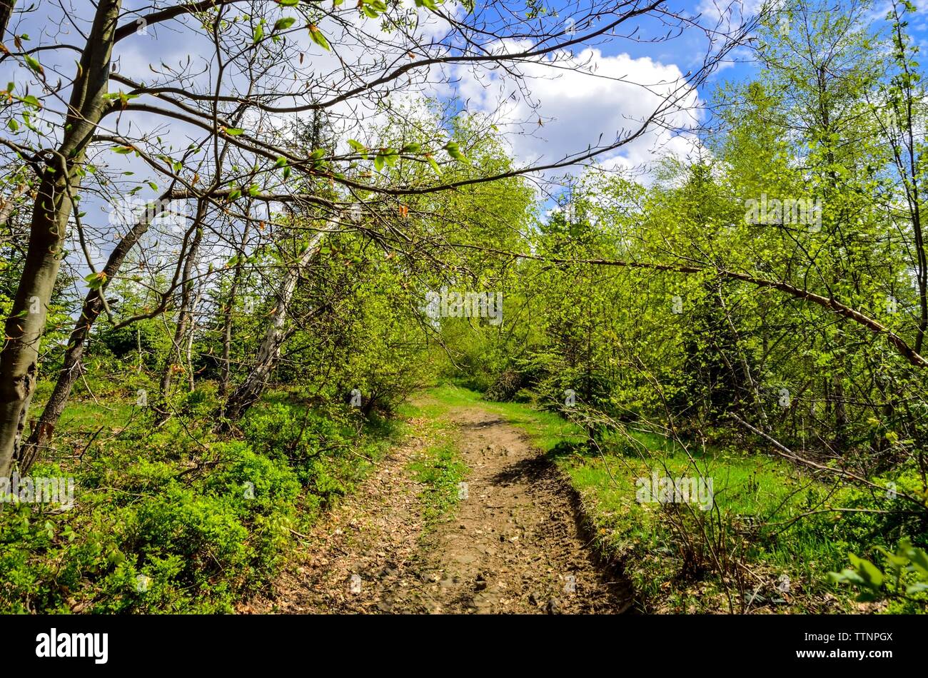 The most beautiful spring scenery hi-res stock photography and images ...