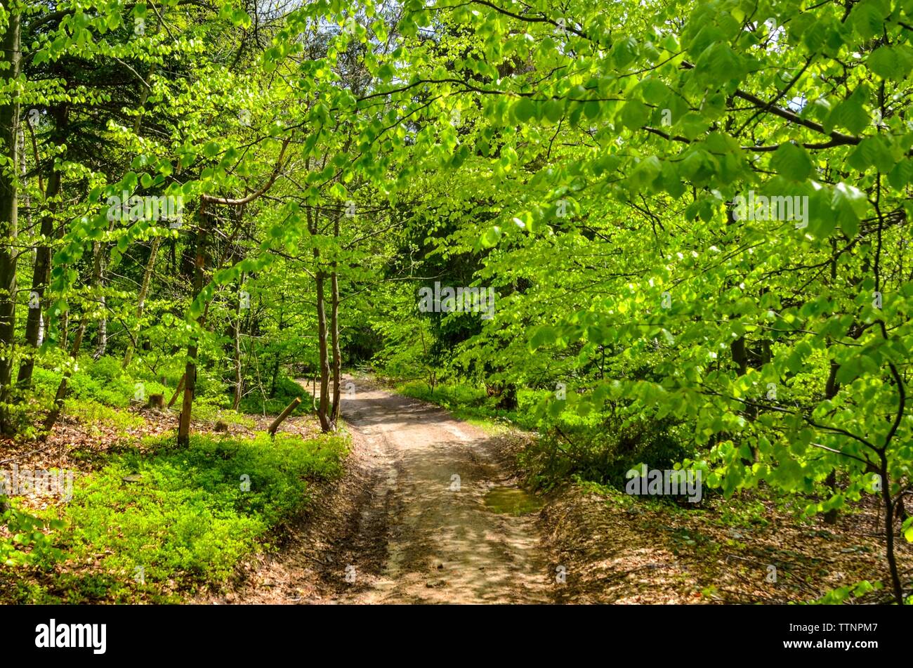 The most beautiful spring scenery hi-res stock photography and images ...