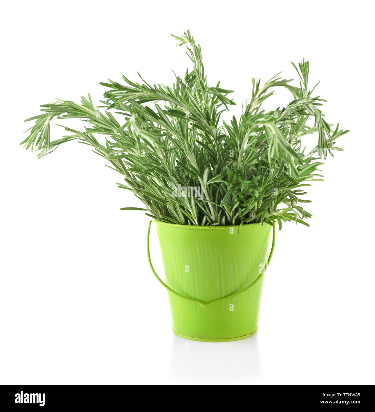 Fresh rosemary in bucket, isolated on white Stock Photo - Alamy