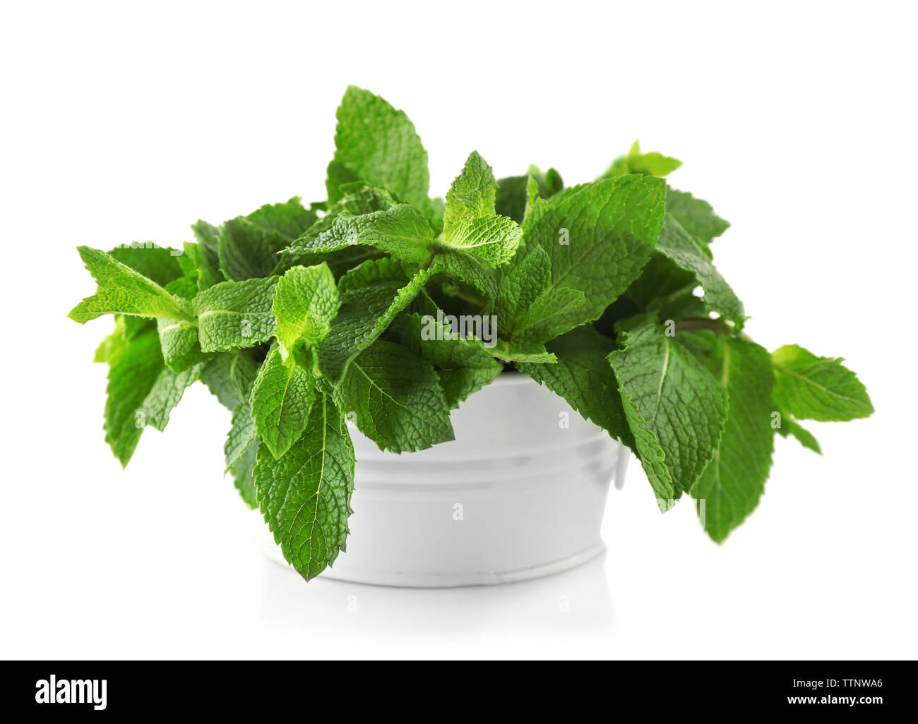 Fresh mint in bucket, isolated on white Stock Photo - Alamy