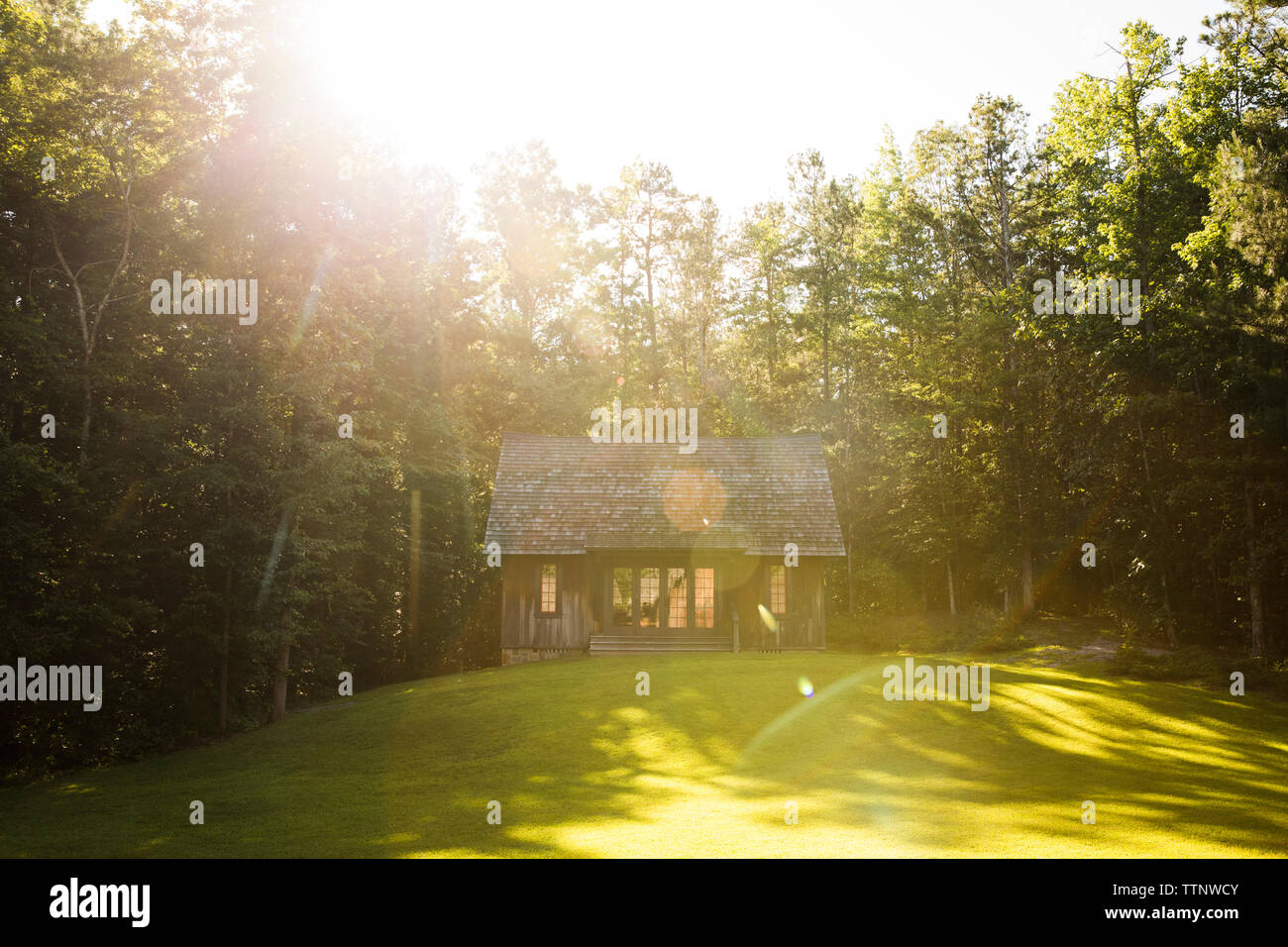 Trees log cabin usa hi-res stock photography and images - Alamy