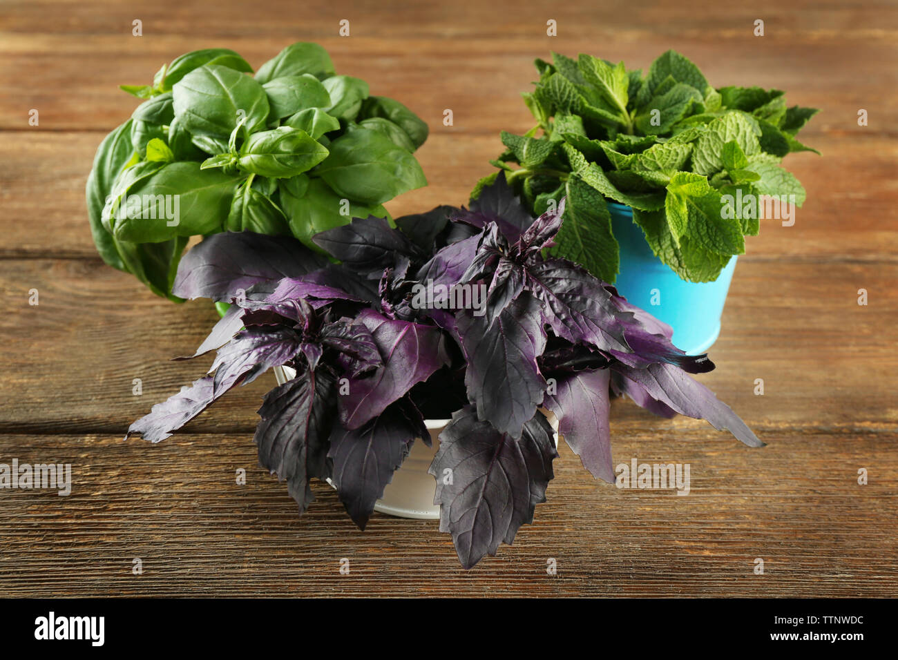 Basil and mint herbs on wooden table Stock Photo - Alamy