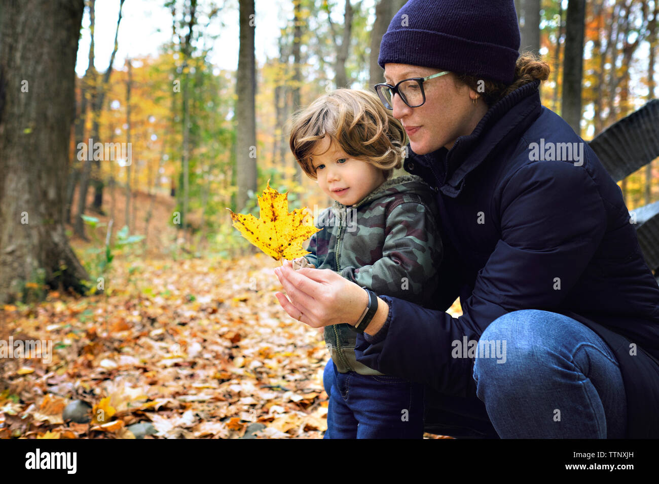 Mother showing leaf to son while crouching on field during autumn Stock ...
