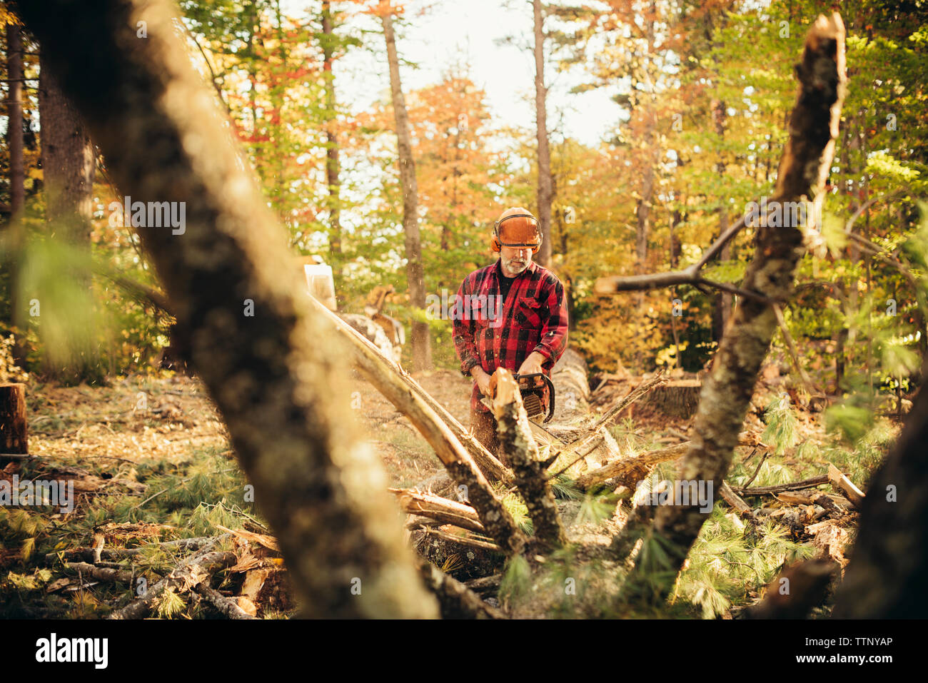 Old man cutting log hi-res stock photography and images - Alamy