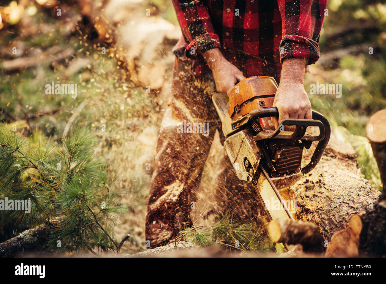 Old man cutting log hi-res stock photography and images - Alamy