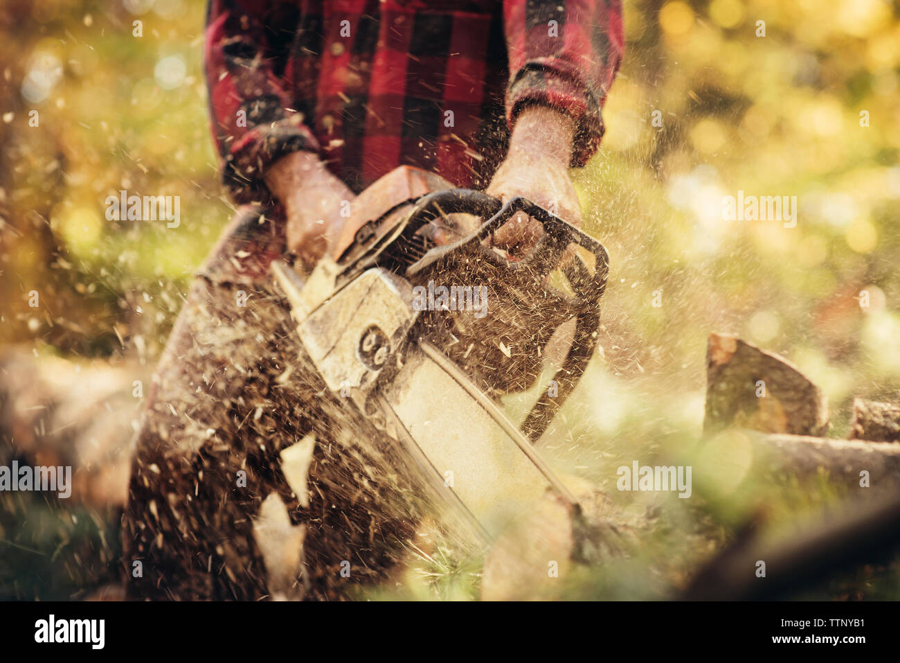 Old man cutting log hi-res stock photography and images - Alamy