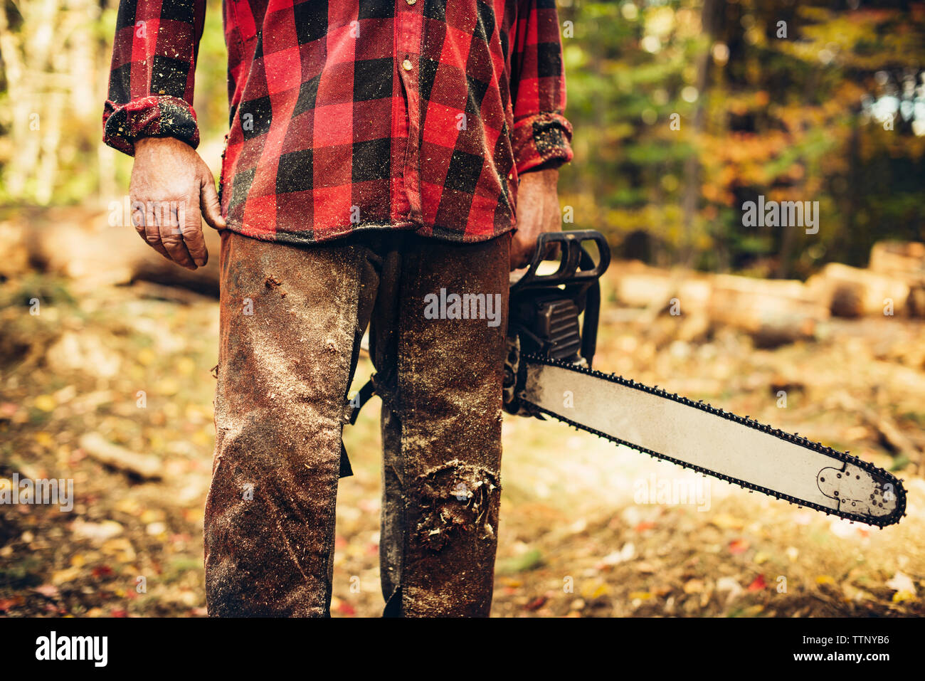 Lumberjack chainsaw shirt hi-res stock photography and images - Alamy