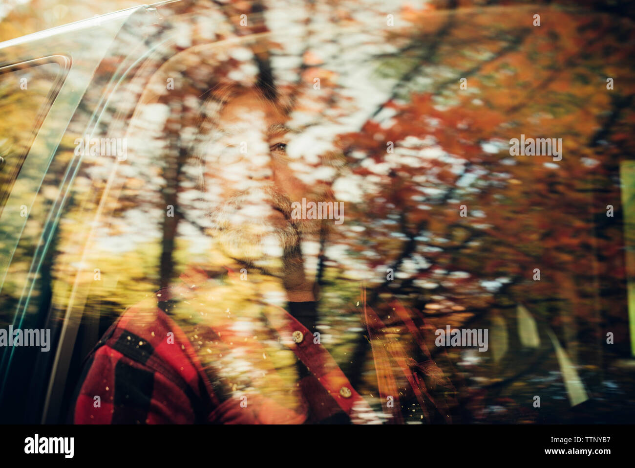Thoughtful lumberjack in car with reflection of autumn trees on window ...