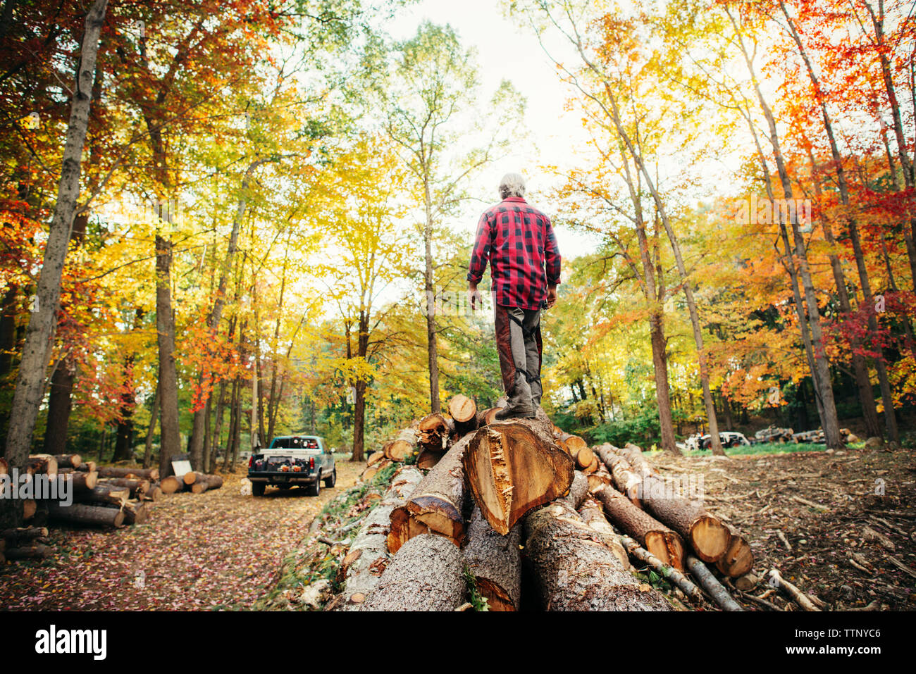 Walking on lumber hi-res stock photography and images - Alamy