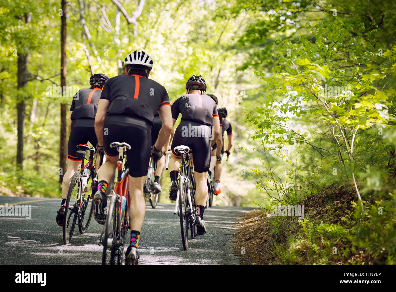 Rear view of male cyclists riding bicycles on country road Stock Photo ...