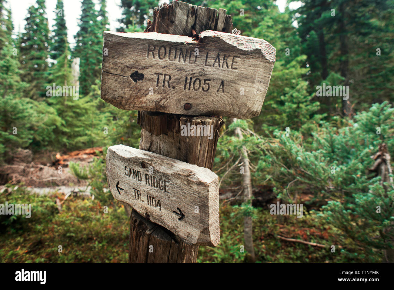 Close-up of text on wooden sign boards at field Stock Photo - Alamy