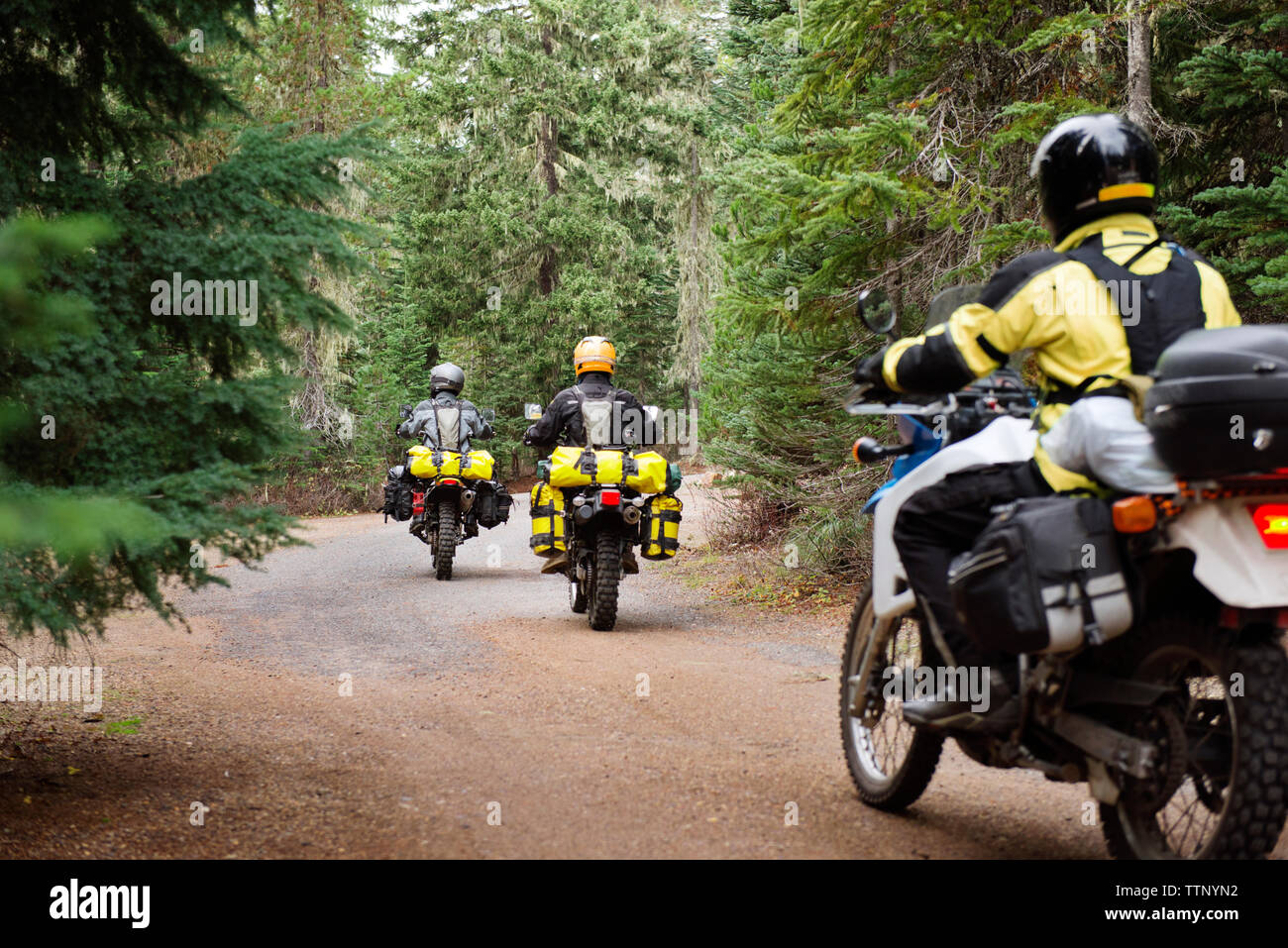 Man men male adult adults motorcycles hi-res stock photography and ...