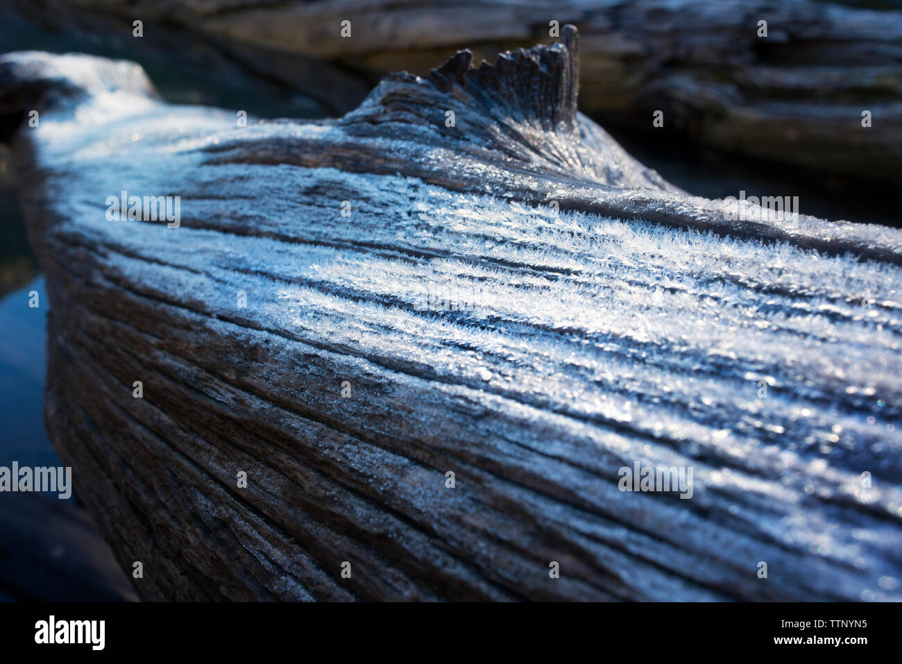 White frost wood hi-res stock photography and images - Alamy