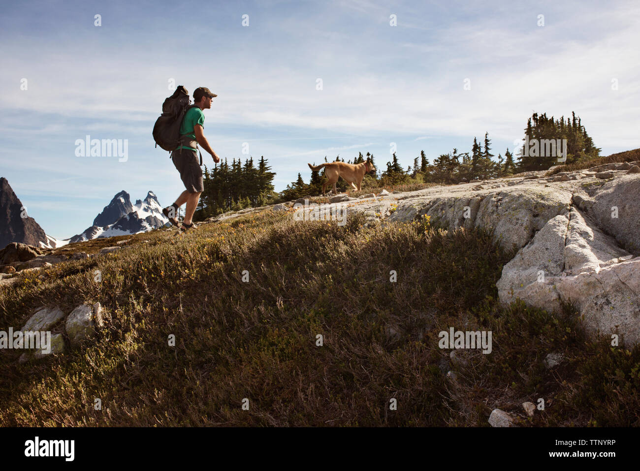 Side view of man hiking with dog on mountain against sky Stock Photo ...