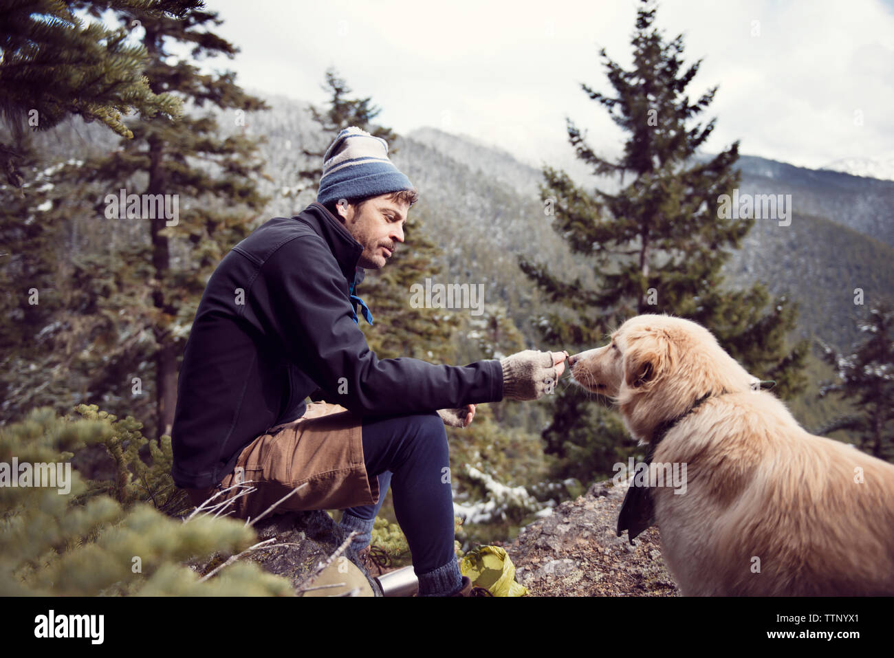 Dog smelling clothing hi-res stock photography and images - Alamy