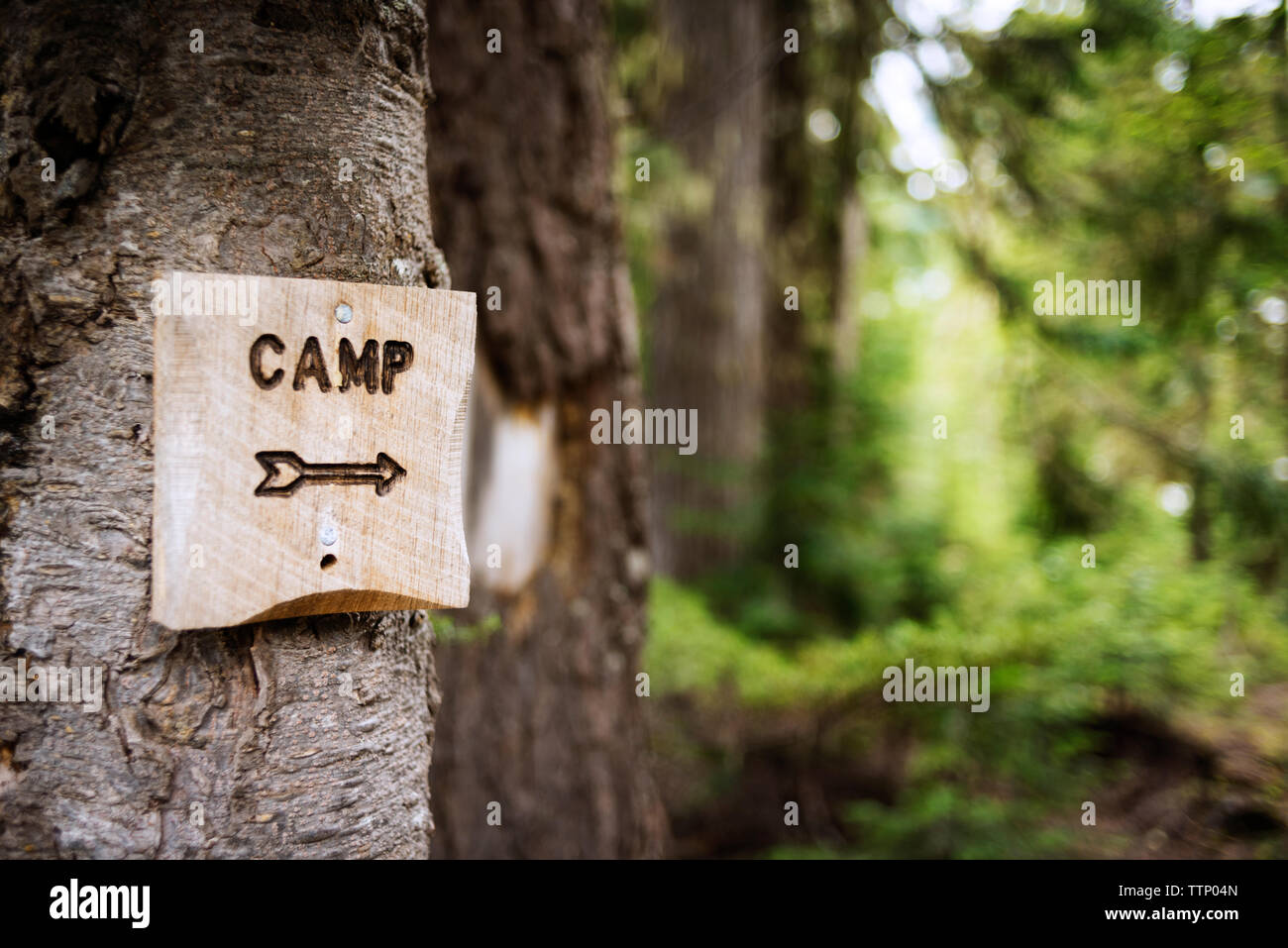 Sign board forest hi-res stock photography and images - Alamy
