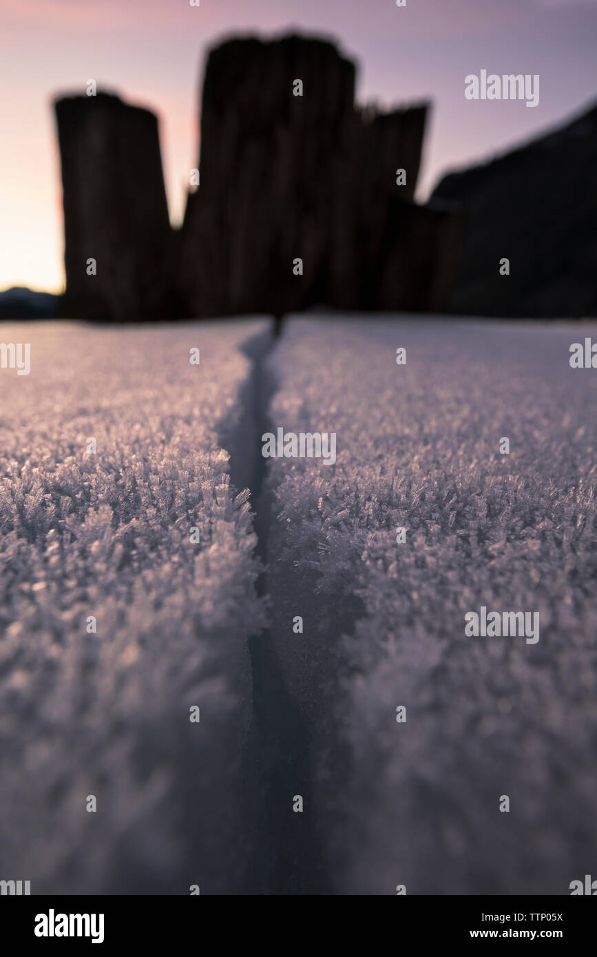 Surface level of cracks in snow field against tree stumps Stock Photo ...