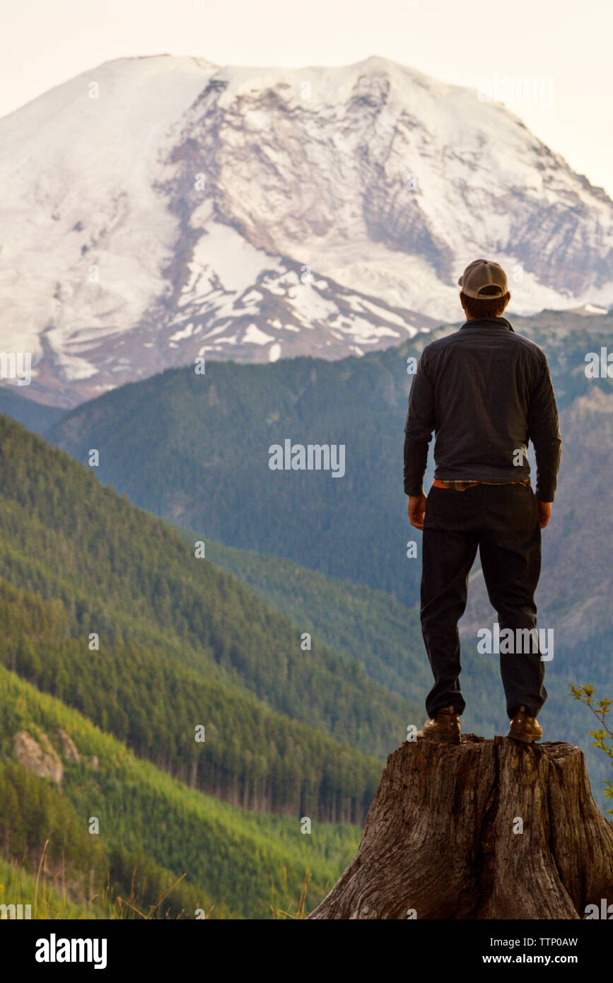 Stump mountain hi-res stock photography and images - Alamy