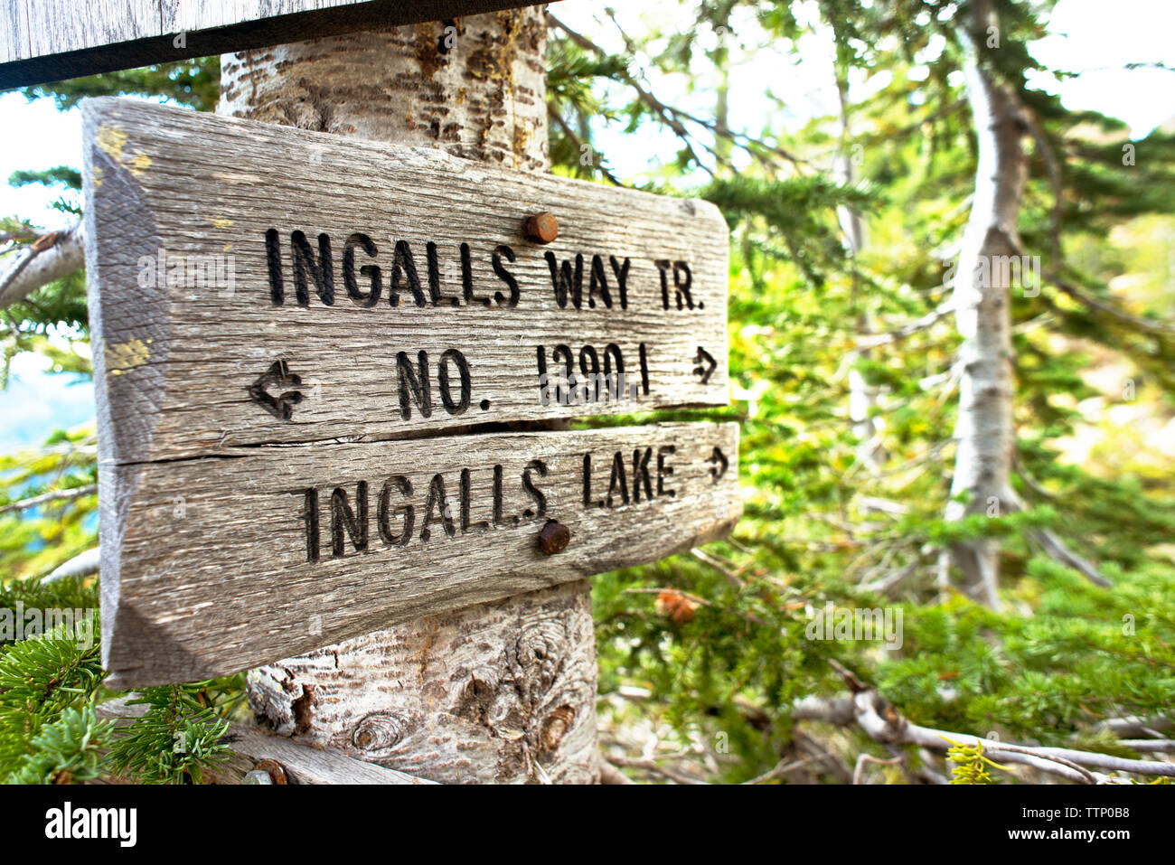 Directional sign tree trees hi-res stock photography and images - Alamy