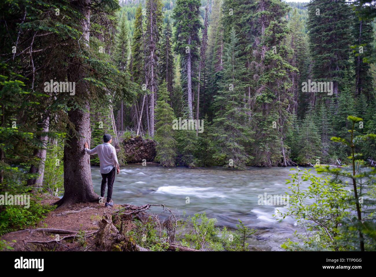 One man standing looking watching hi-res stock photography and images ...